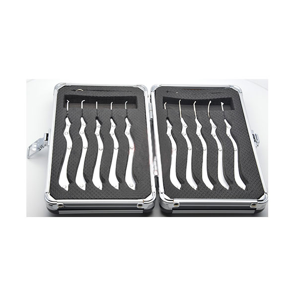 Aluminium Alloy Handle 10 Pcs Single Hook Lock Pick Set